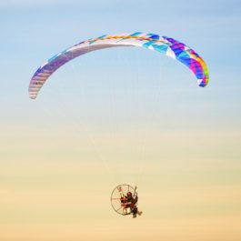 BGD SEED – Aerolight – Paramotor & Paragliding Gear